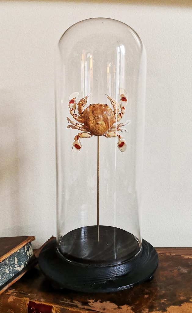 Globes PM – Matuta Lunaris – AN ATOLL